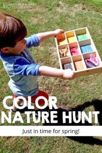 Outdoor Color Hunt - Days With Grey