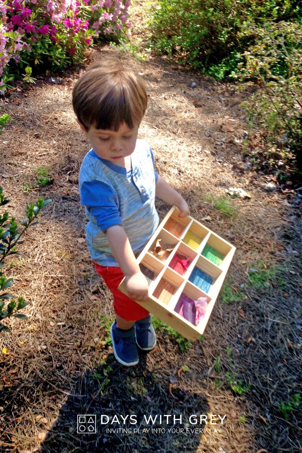 Outdoor Color Hunt - Days With Grey