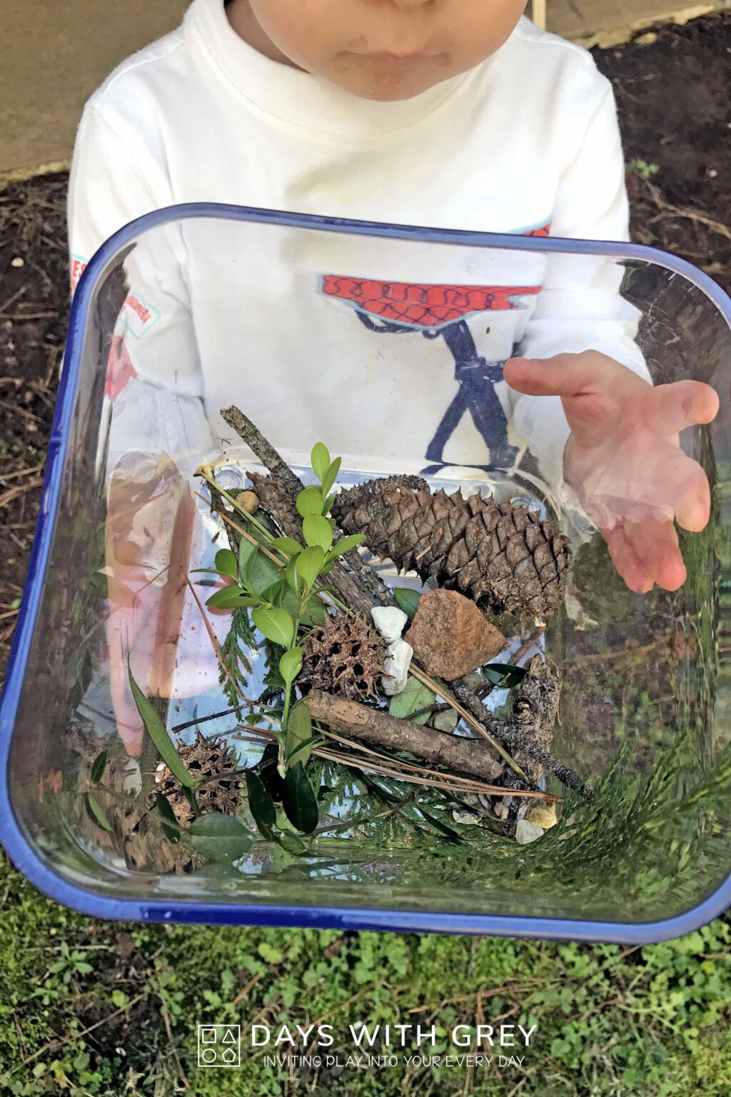 Nature Scavenger Hunt: Leaf Activities for Preschoolers - Days With Grey
