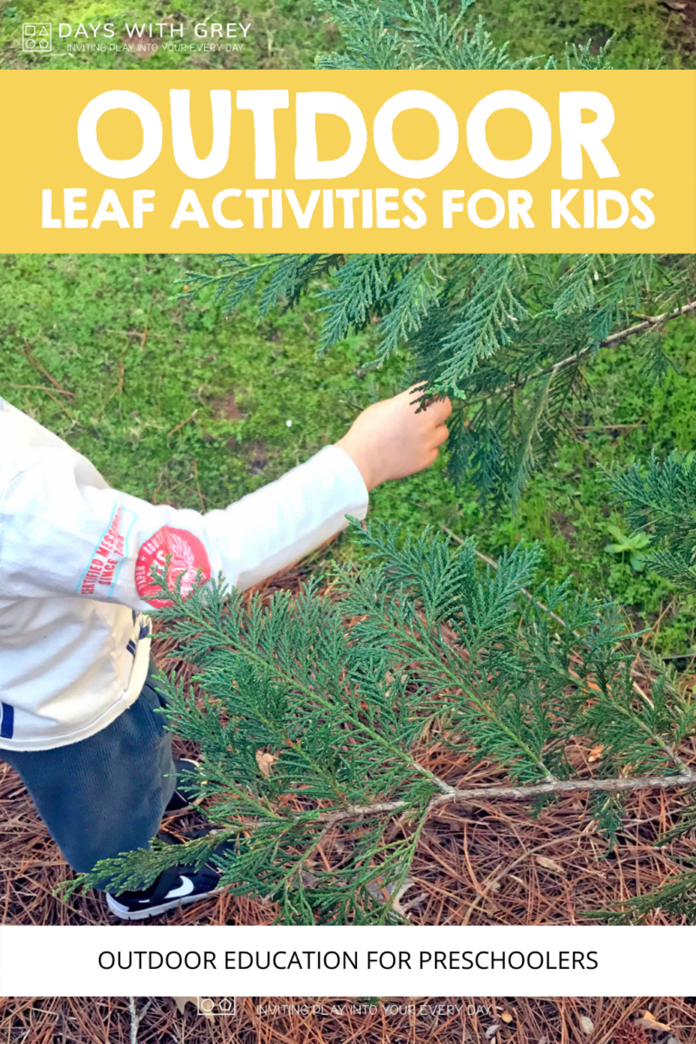 Nature Scavenger Hunt: Leaf Activities for Preschoolers - Days With Grey