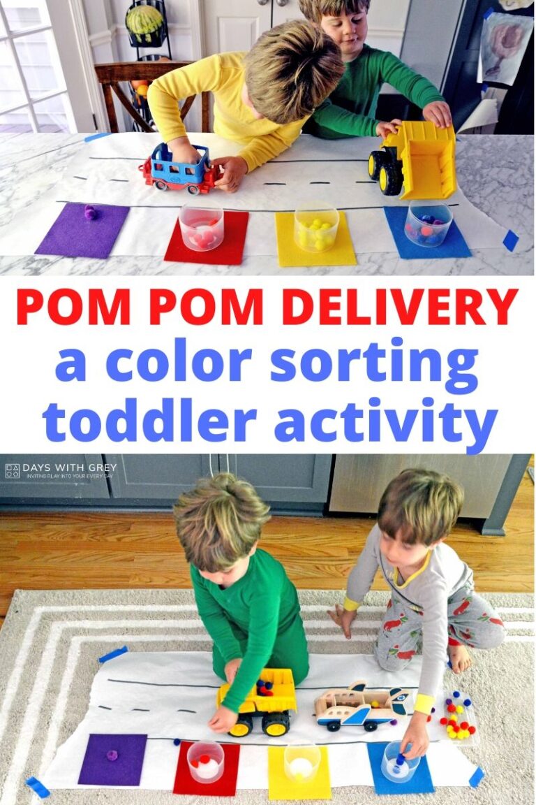 Color Sorting Pom Pom Delivery - Days With Grey