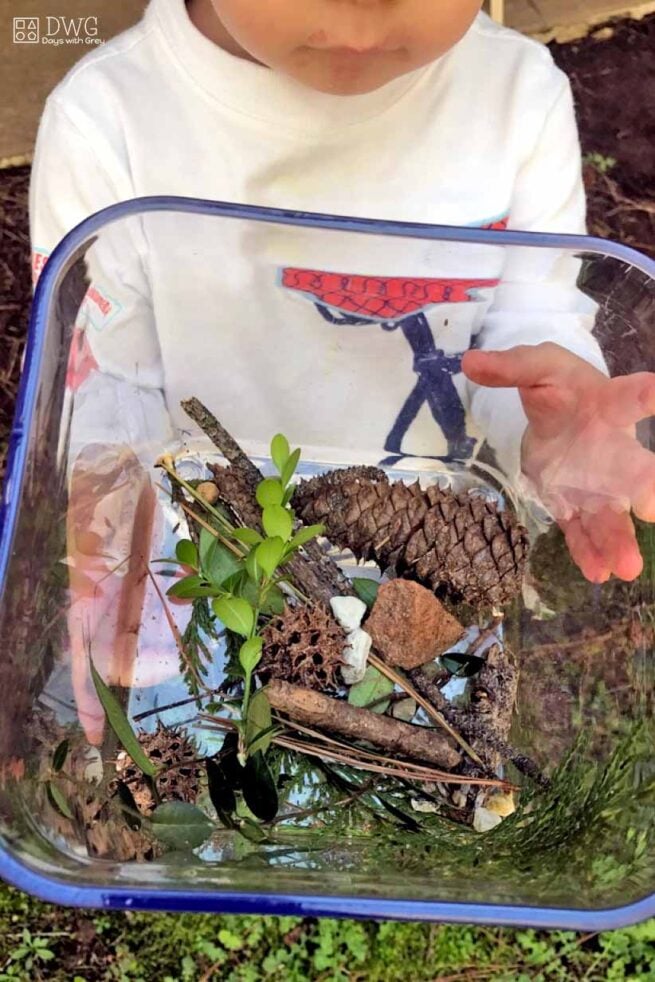 Earth Day Activity for Kids Using the Outdoors - Days With Grey