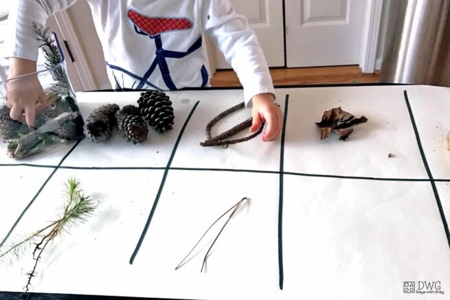 Earth Day Activity for Kids Using the Outdoors - Days With Grey