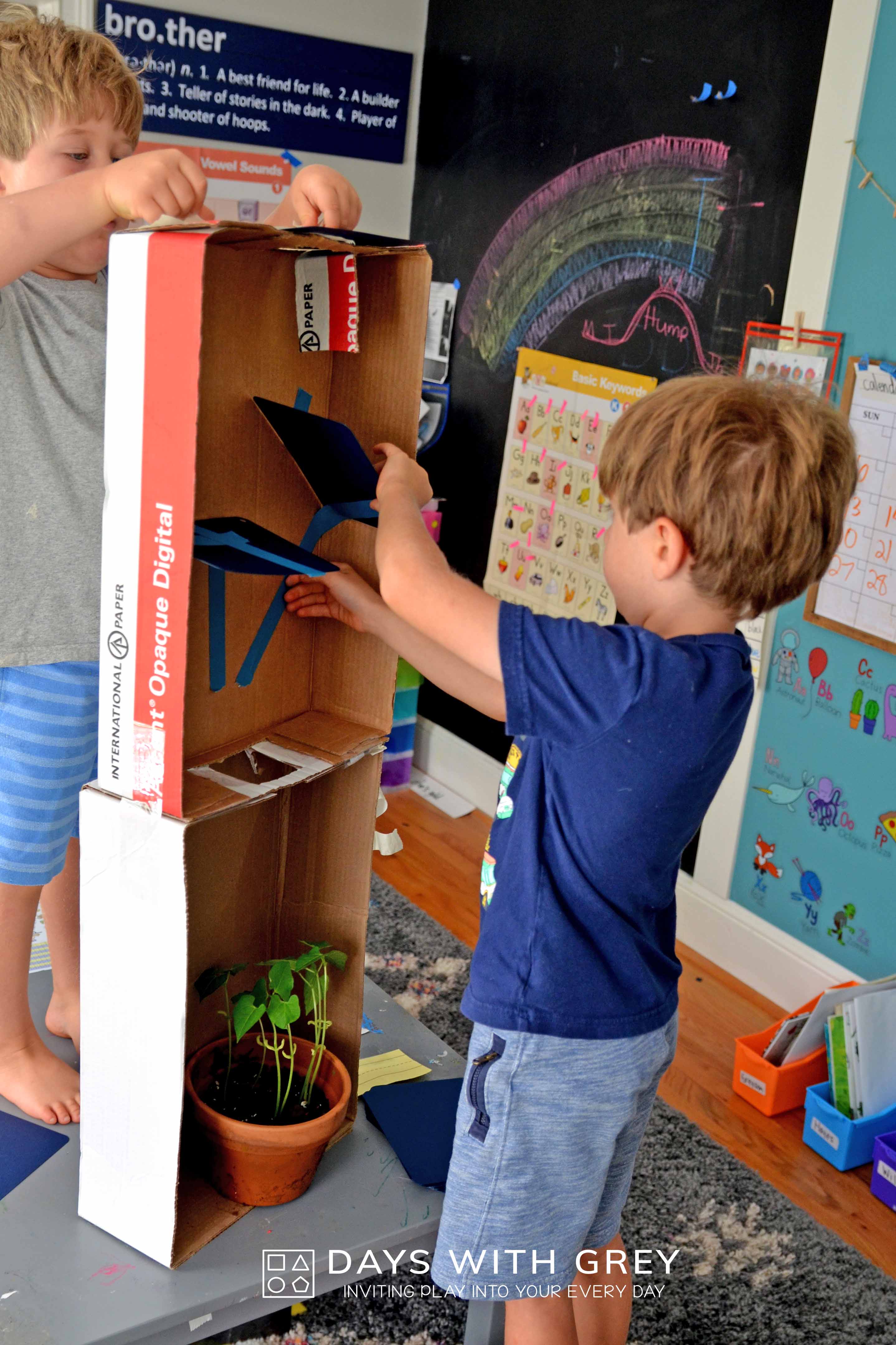Plant Maze: Science Lessons for Kindergarten (and beyond!) - Days With Grey