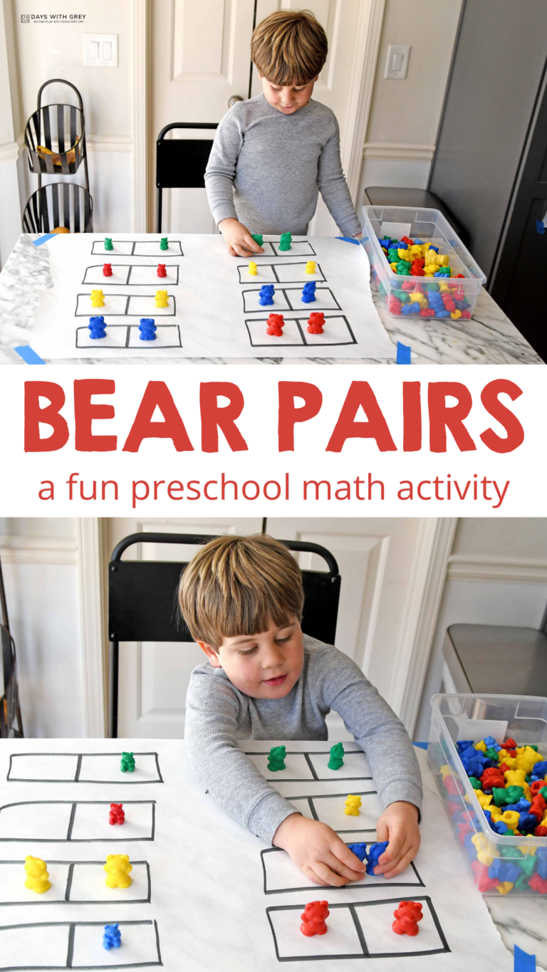 Bear Pairs - Days With Grey