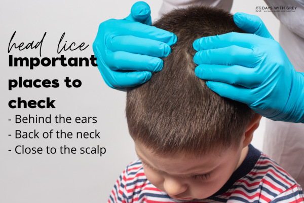 A Parent's Guide for Head Lice - Days With Grey