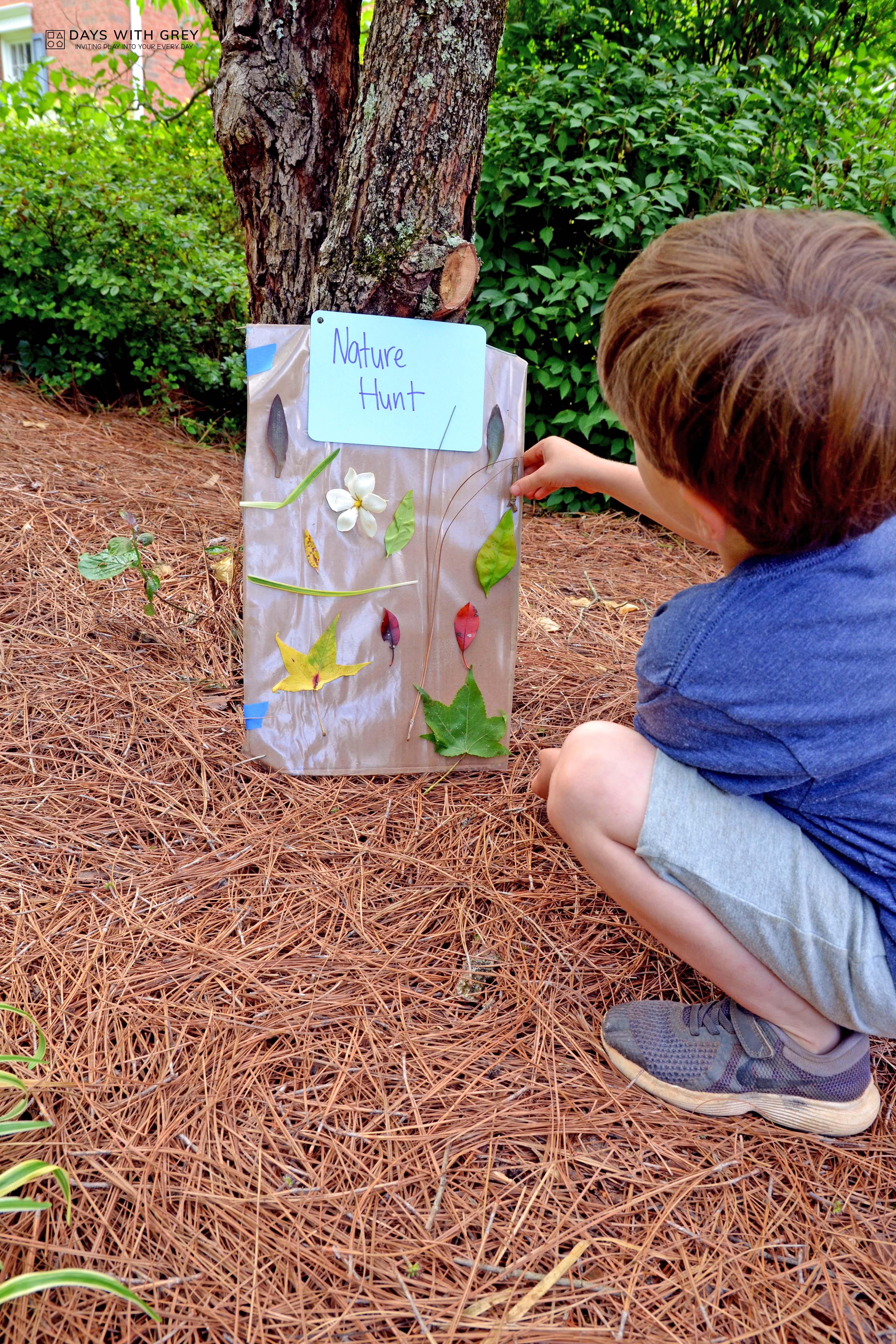 Nature Sensory Hunt - Days With Grey