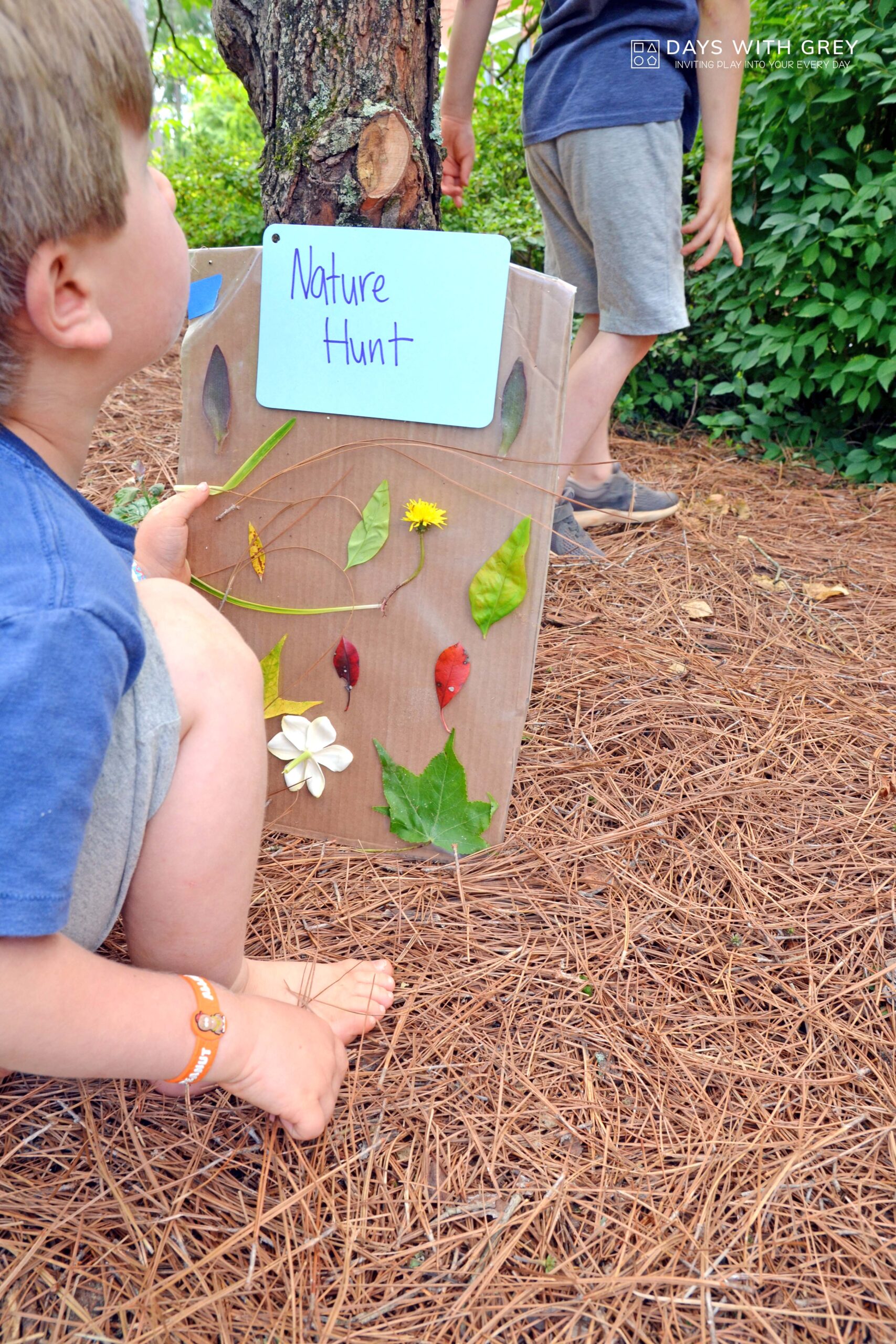 Nature Sensory Hunt - Days With Grey