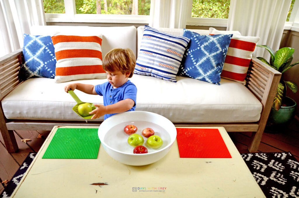 Apple Scoop and Sort - Days With Grey