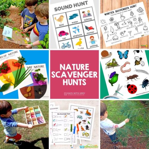 30+ Preschool Scavenger Hunts - Days With Grey