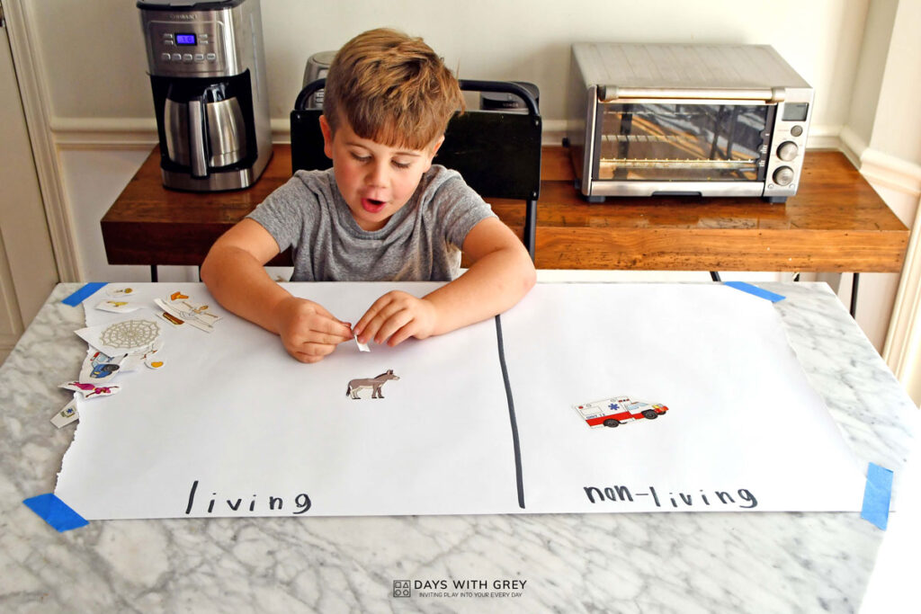 Living and Nonliving Sticker Activity - Days With Grey