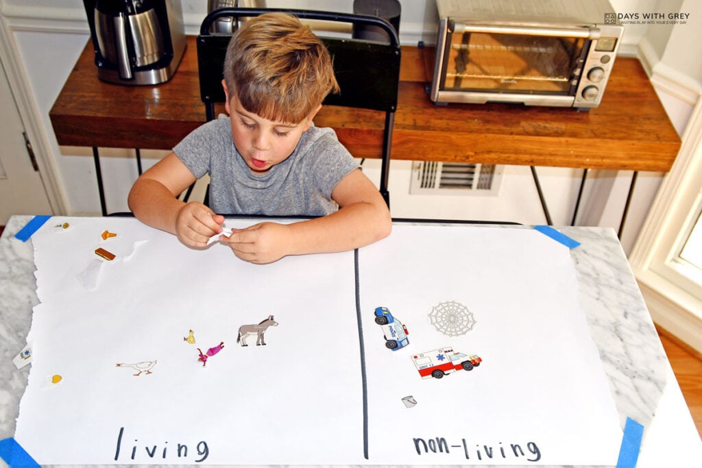 Living and Nonliving Sticker Activity - Days With Grey
