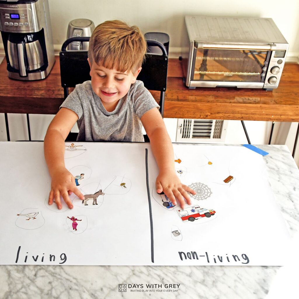 Living and Nonliving Sticker Activity - Days With Grey