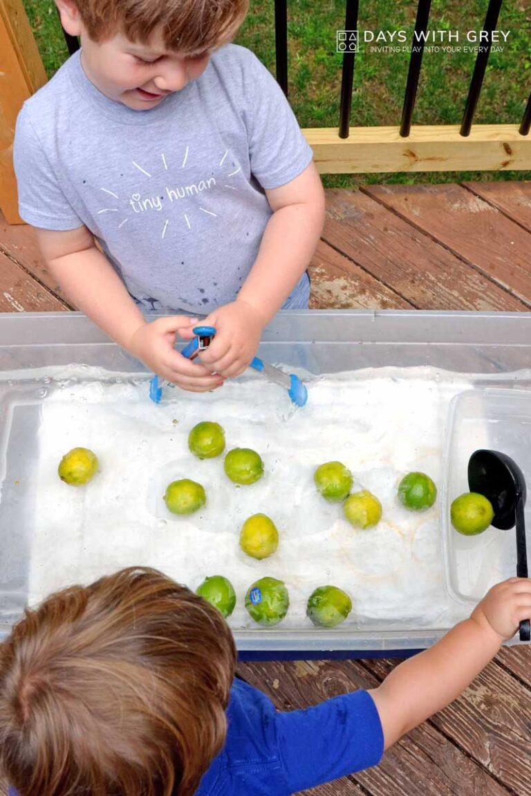 Scoop the Limes - Toddler Water Play - Days With Grey