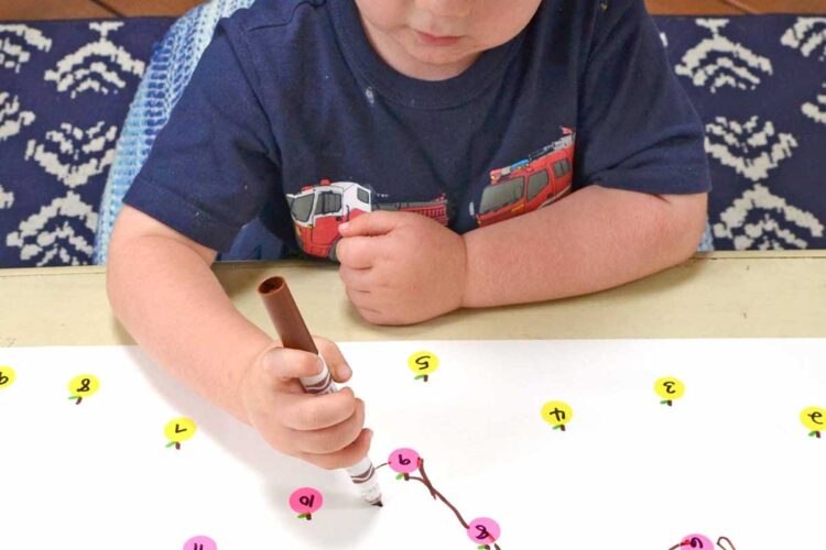 Apple Dot to Dot (one-to-one correspondence) - Days With Grey