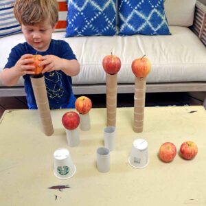 15 Toilet Paper Roll Crafts for Kids - Days With Grey