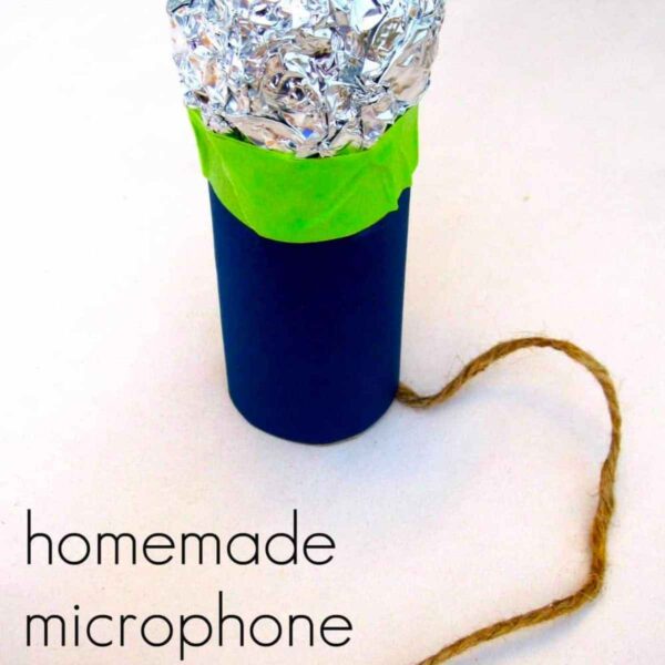 15 Toilet Paper Roll Crafts for Kids - Days With Grey