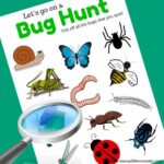 25 Scavenger Hunts for Kids - Days With Grey