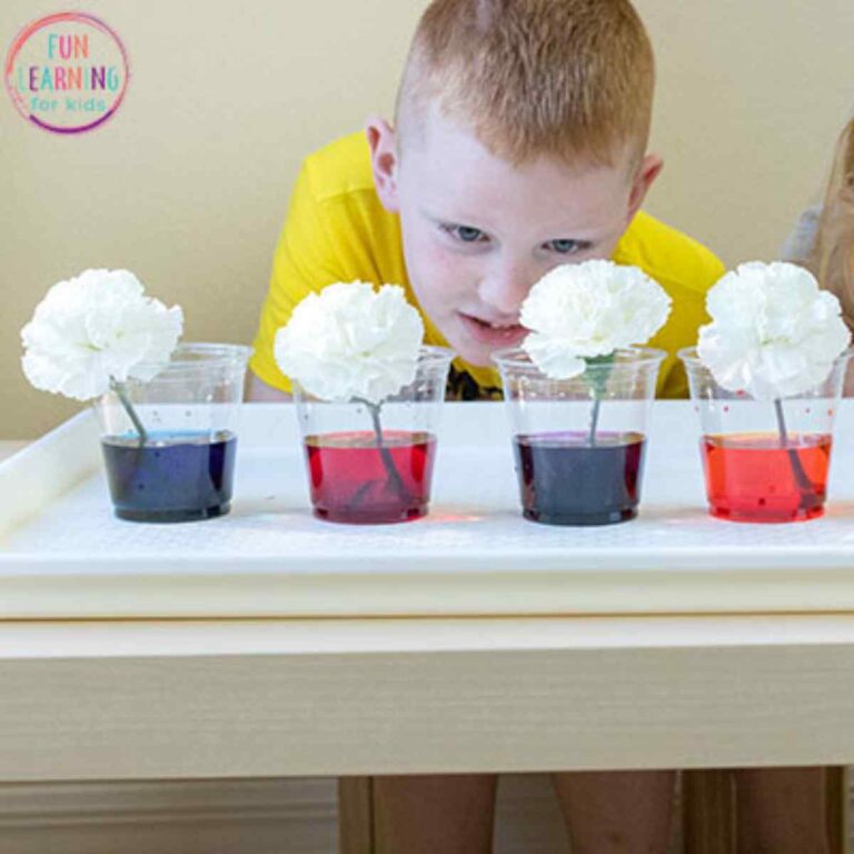 21 Spring Activities for Kids - Days With Grey