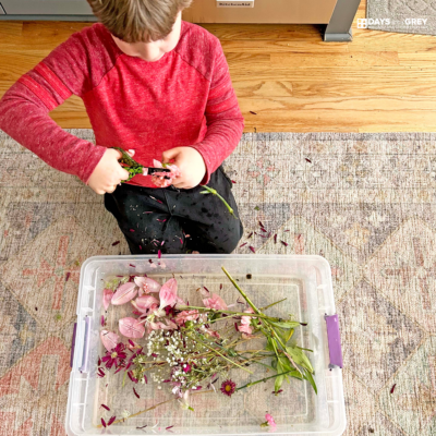 20 Cutting Activities for Preschoolers - Days With Grey