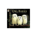20+ Preschool Book Activities for Picture Bookses - Days With Grey